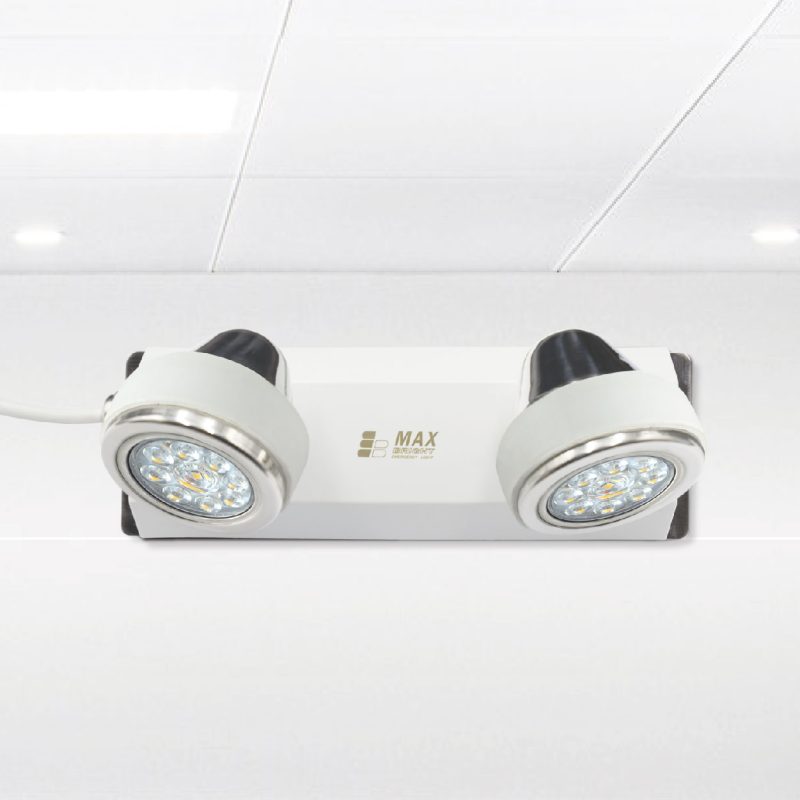 CE 230 Ceiling / wall mount (standard) - ctl